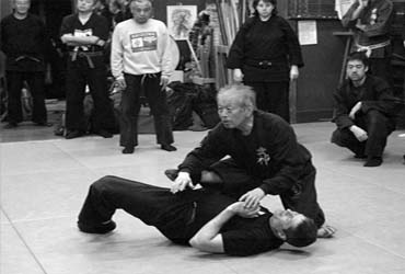 Ninjutsu ¿Qué es? – Bujinkan Ninjutsu México