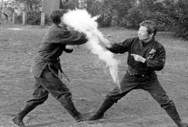 Ninjutsu ¿Qué es? – Bujinkan Ninjutsu México