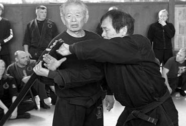 Ninjutsu ¿Qué es? – Bujinkan Ninjutsu México